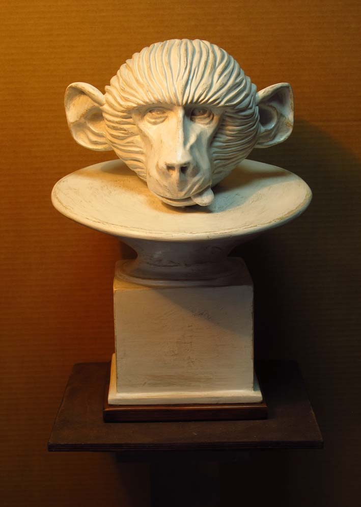 Monkey Polychrome dental plaster and wood